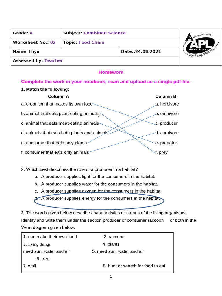 Ws02 Gr4 Sci Food Chain | PDF | Predation | Foods