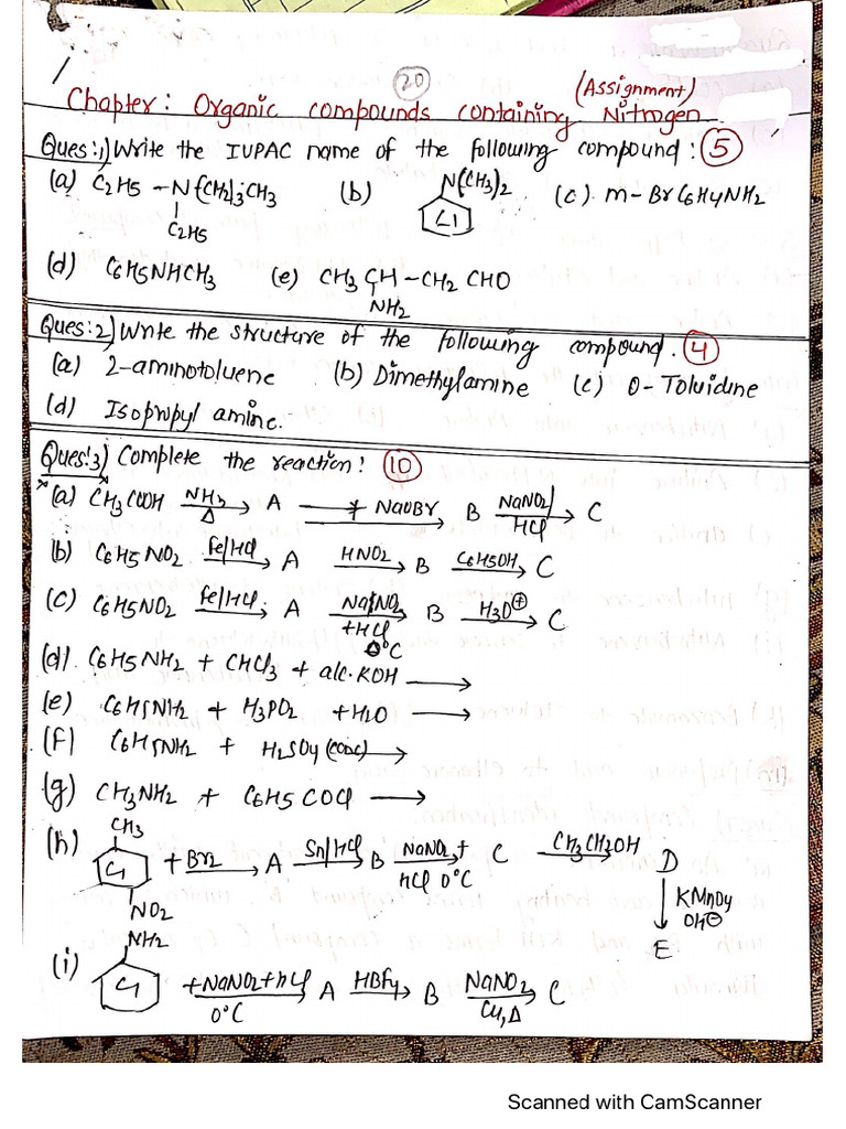 amines assignment | PDF