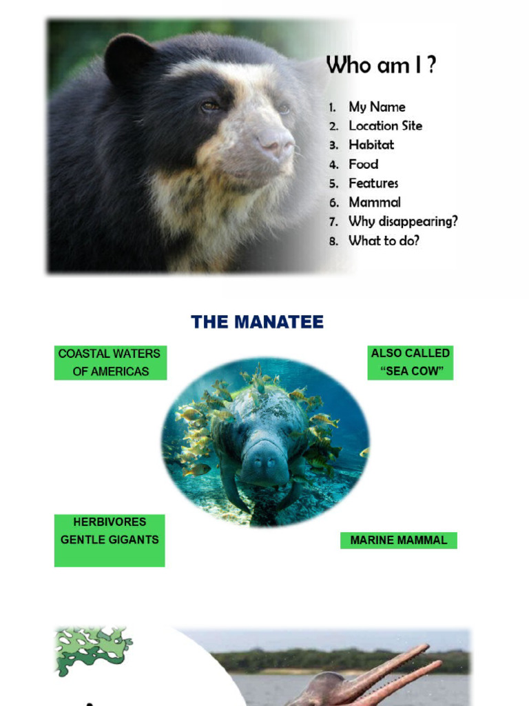 Languages Week - Sena 2024 | PDF