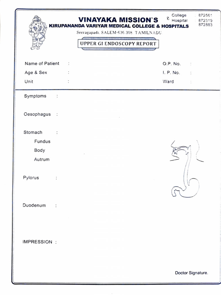 Upper GI Endoscopy Report | PDF