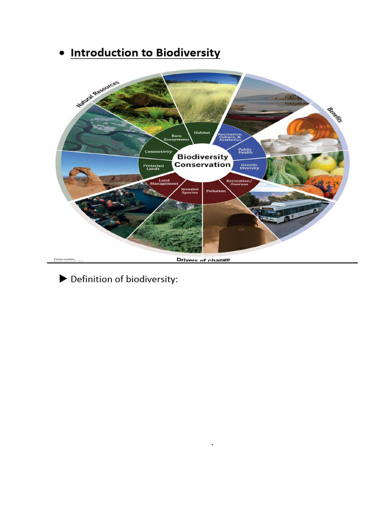 Introduction To Biodiversity Last | PDF | Biodiversity | Conservation ...