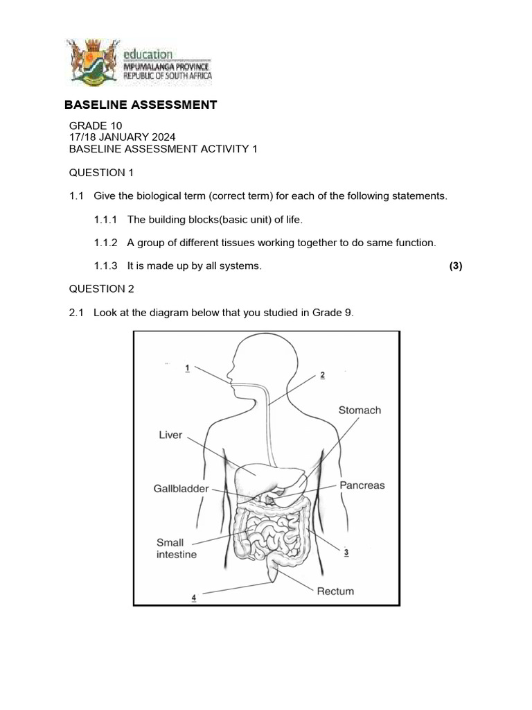 Grade 10 Biology Baseline Assessment | PDF