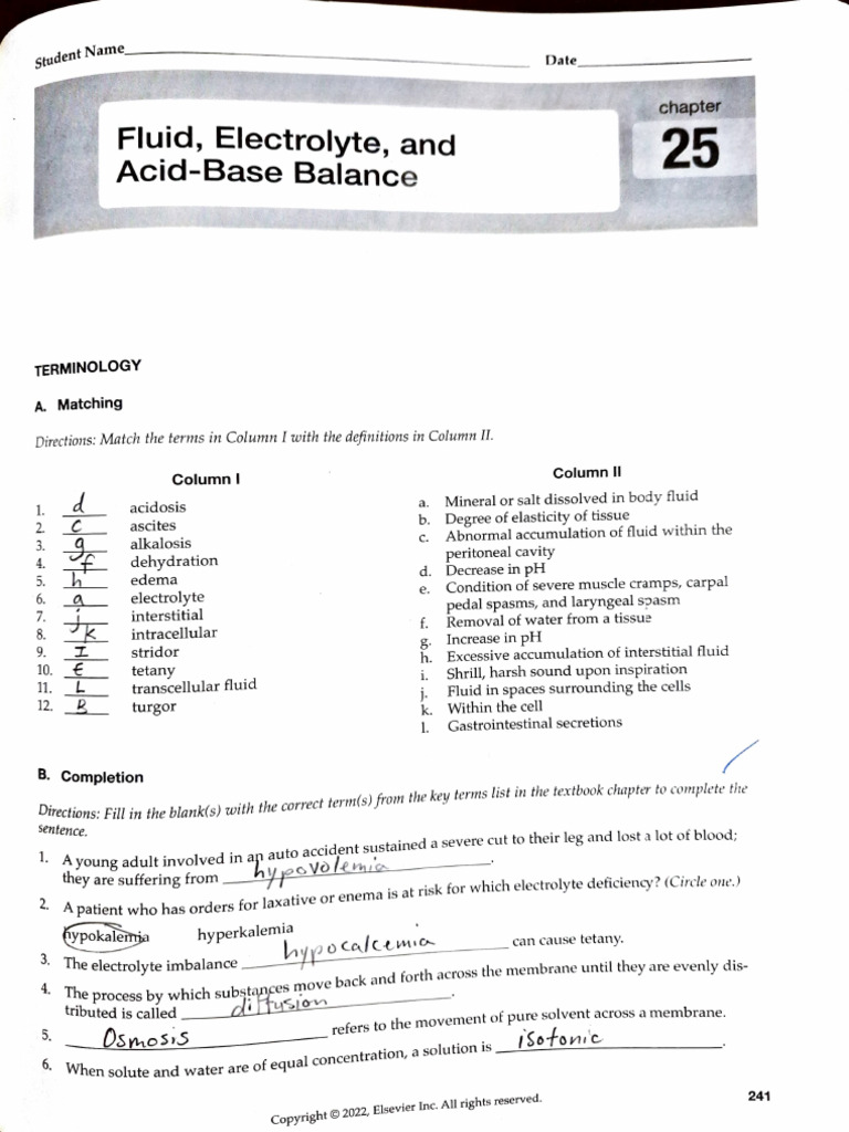 ch25 Fluid Electrolyte Acid Base Balance | PDF | Physiology | Medical ...