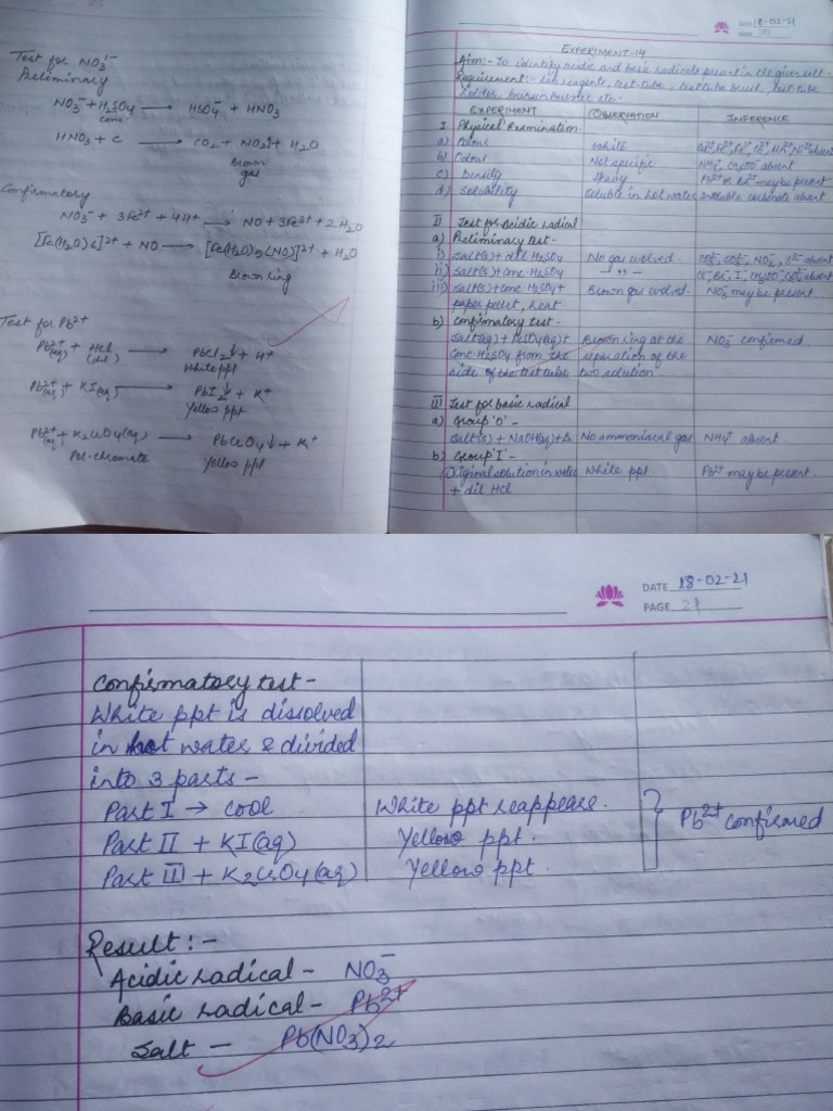 Lead Nitrate and Lead Acetate Salts | PDF | Chemical Compounds ...