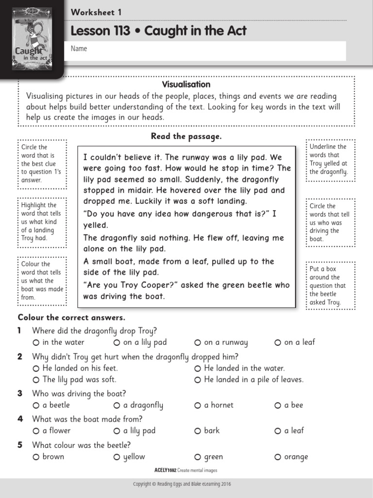 Year 4 Reading Comprehension Express 16 | PDF