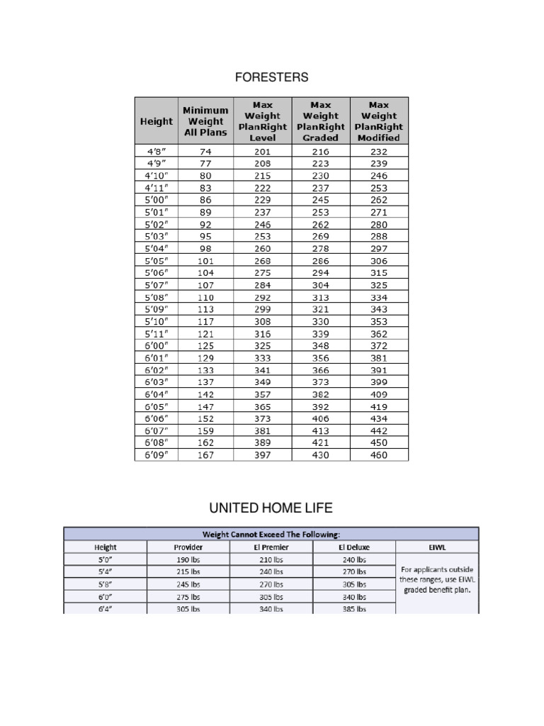 Company Build Charts Compressed | PDF
