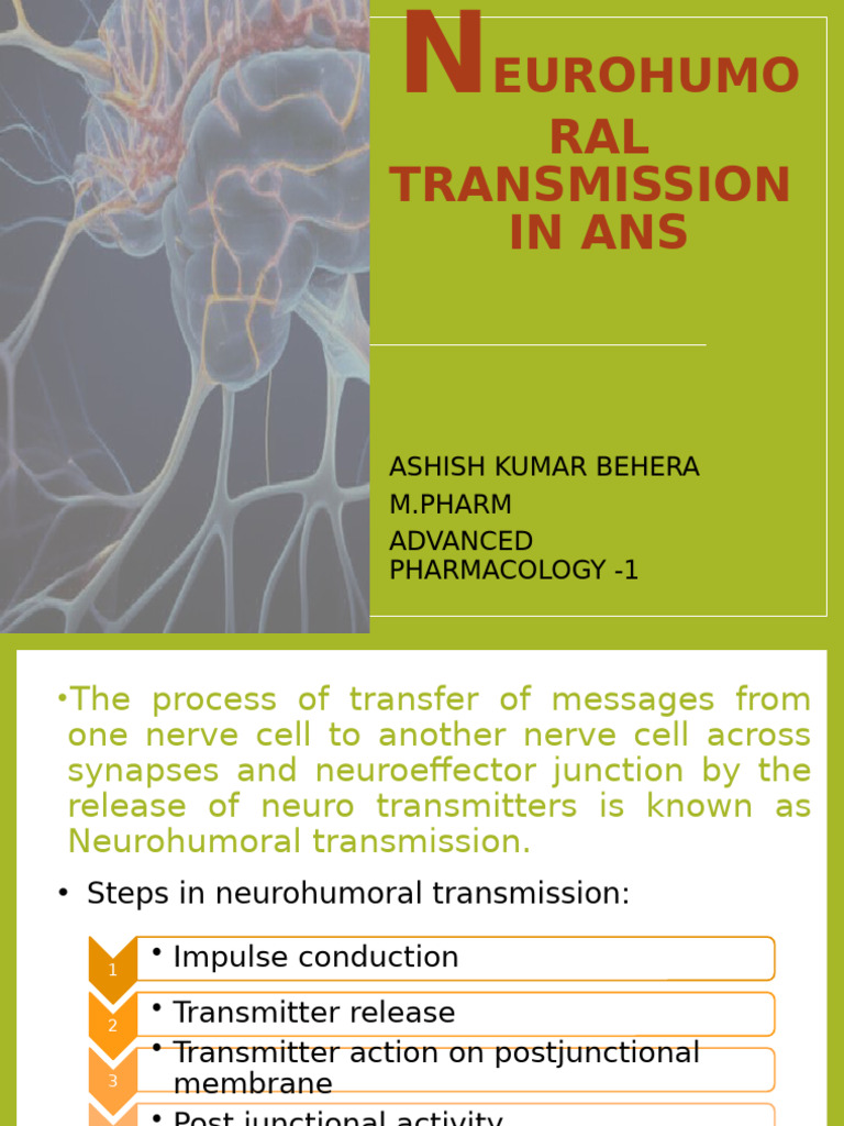 Neurohumoral Transmission in ANS Explained | PDF | Neurotransmitter ...