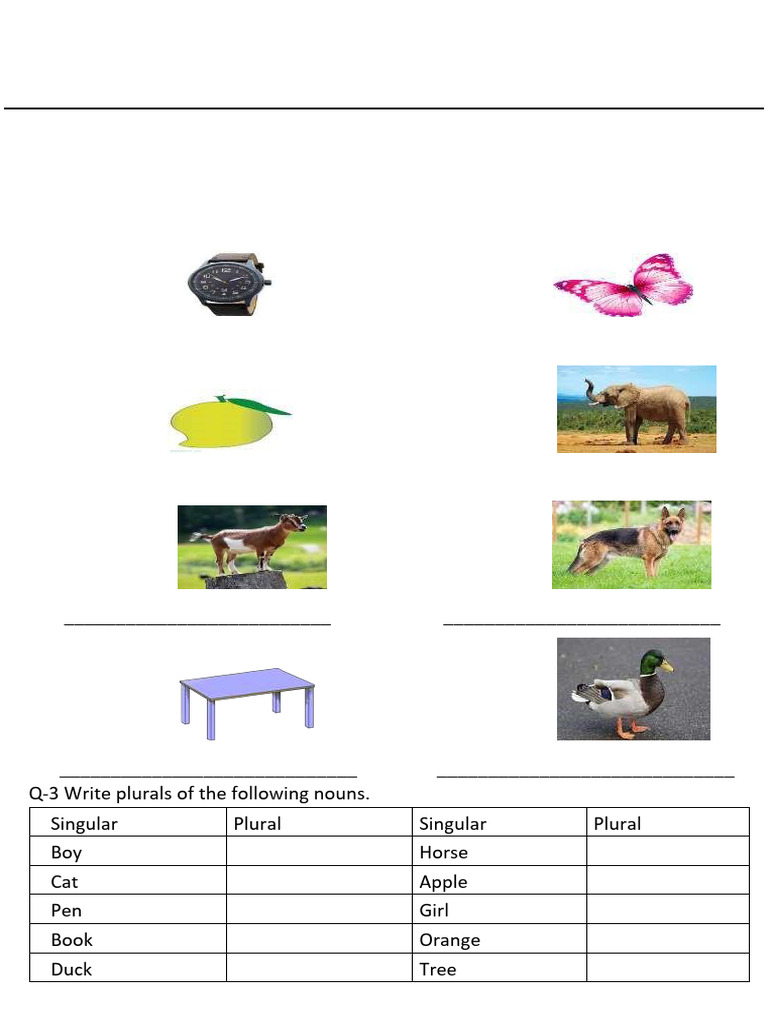 1st Grade English Test | PDF