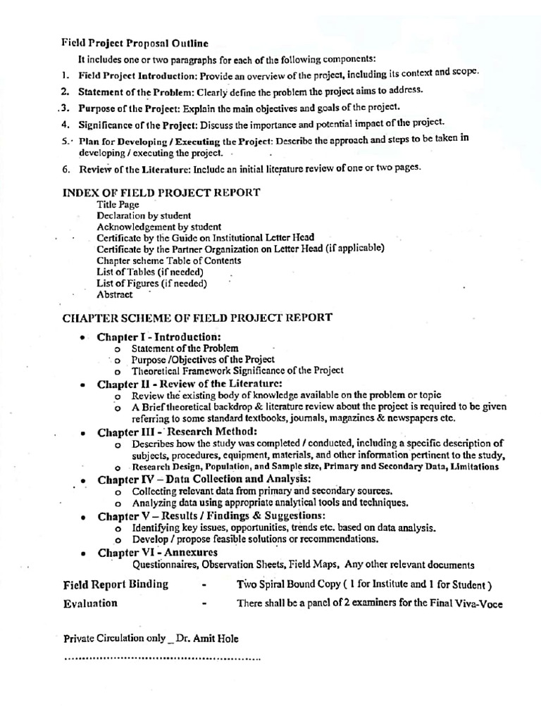 Field Project MBA | PDF
