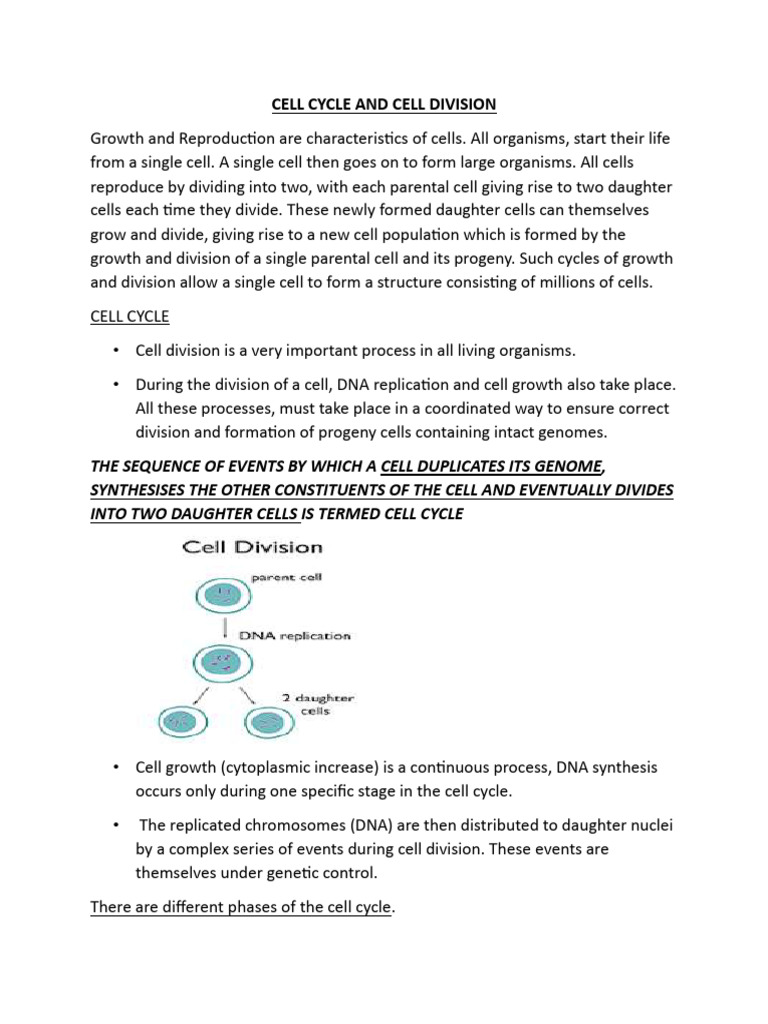 CELL DIVISION notes (1) | PDF | Meiosis | Mitosis