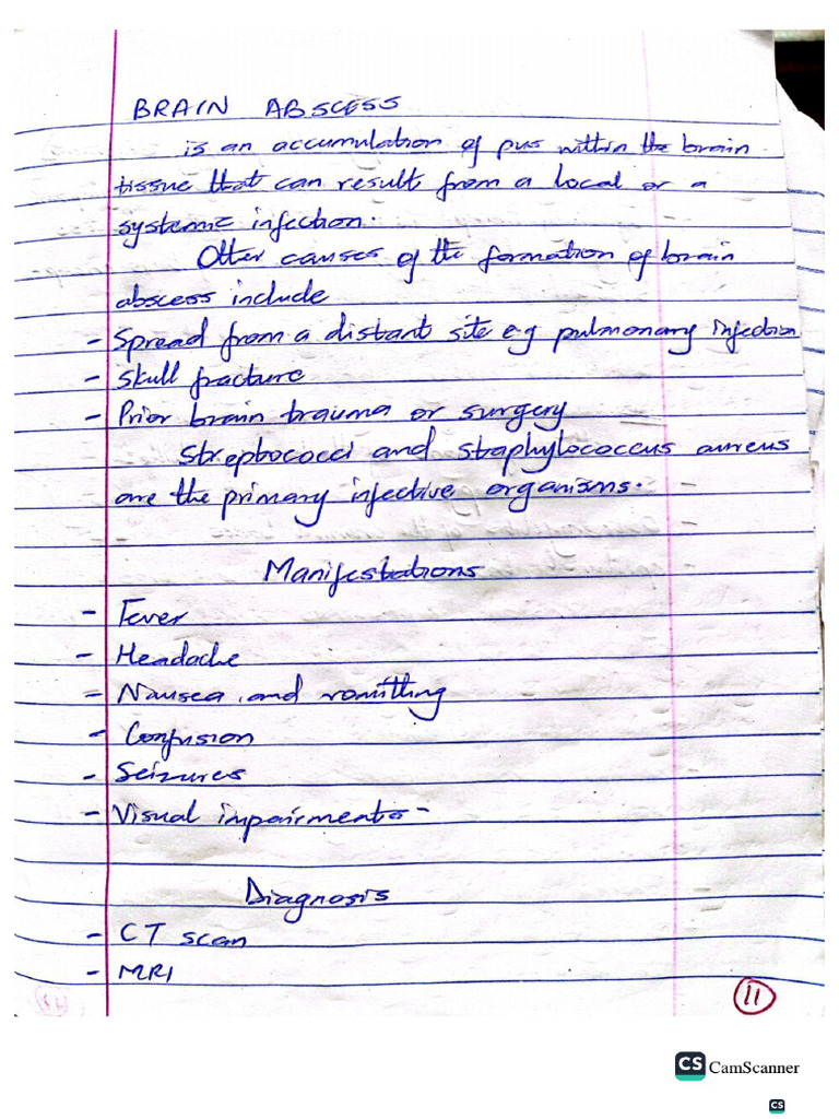 Brain Abscess | PDF