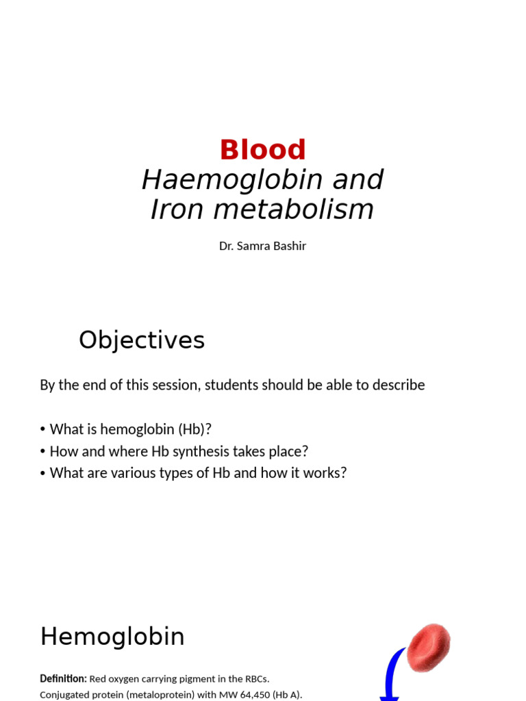 Hemoglobin and Iron Metabolism, Fate of RBCs | PDF | Hemoglobin | Red ...