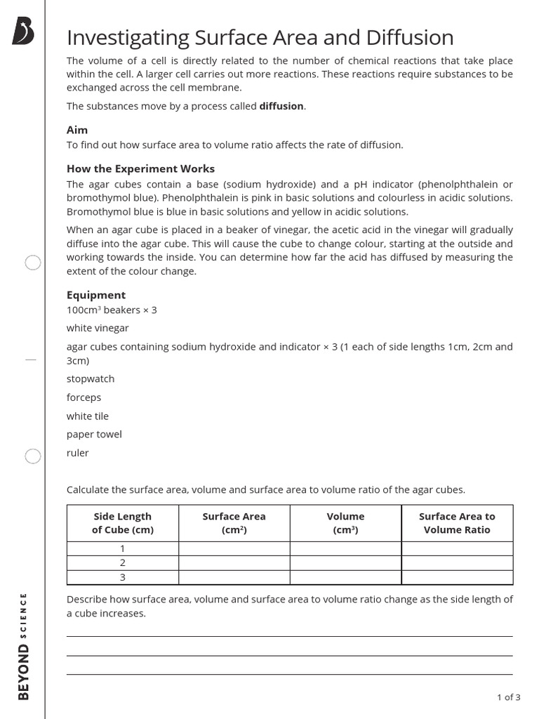 Investigating Surface Area and Diffusion Higher Worksheet | PDF ...