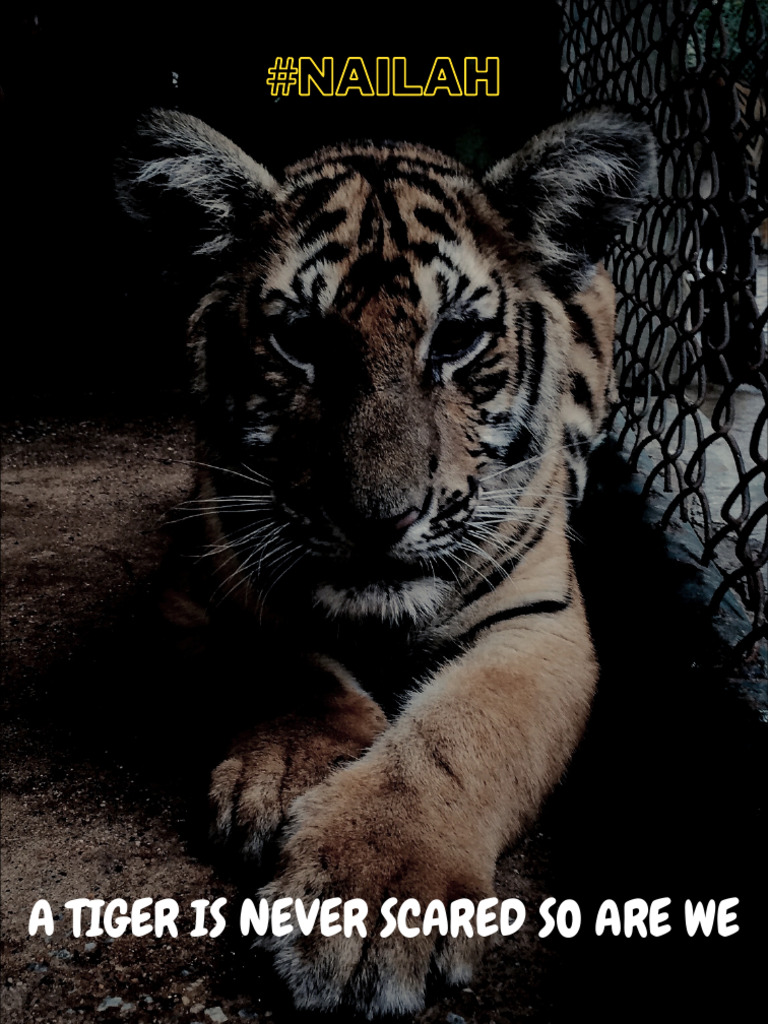 Tiger Minimalist Movie Poster | PDF