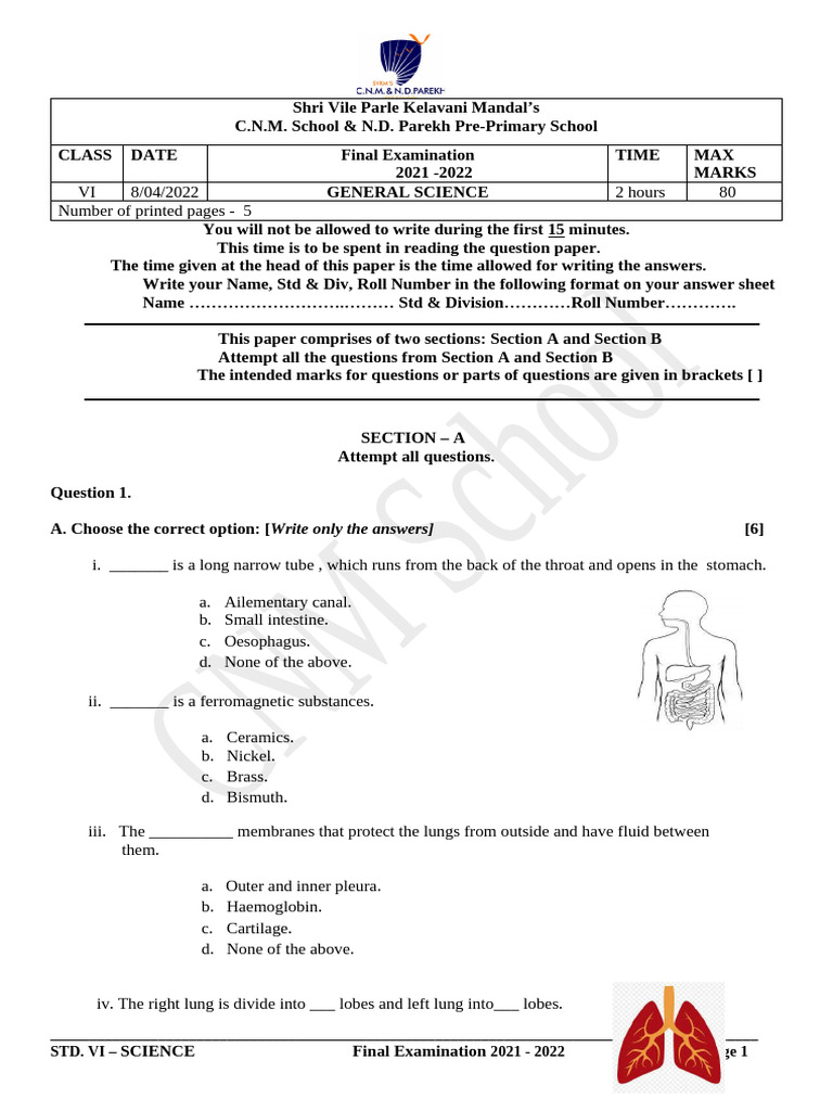 Class VI General Science Exam Paper | PDF | Force | Iron