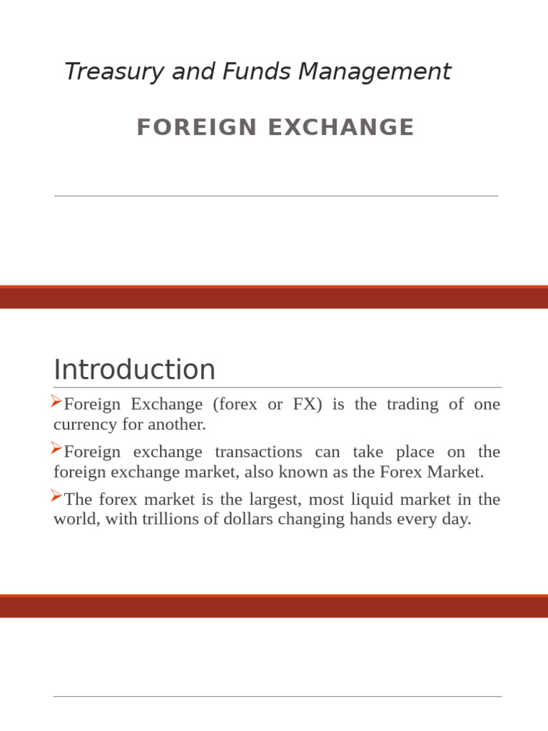 TFM Foreign Exchange | PDF | Foreign Exchange Market | Exchange Rate