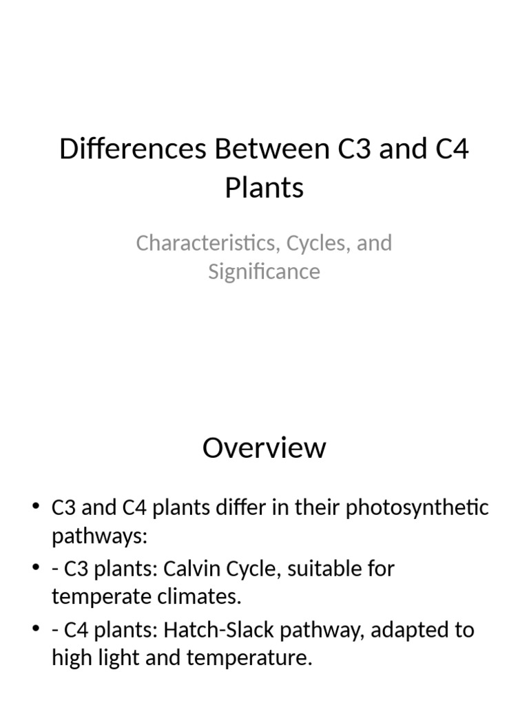 Updated Differences Between C3 and C4 Plants With Image | PDF