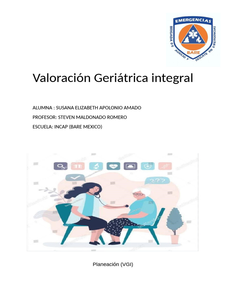 vgi planeación | PDF | Vejez