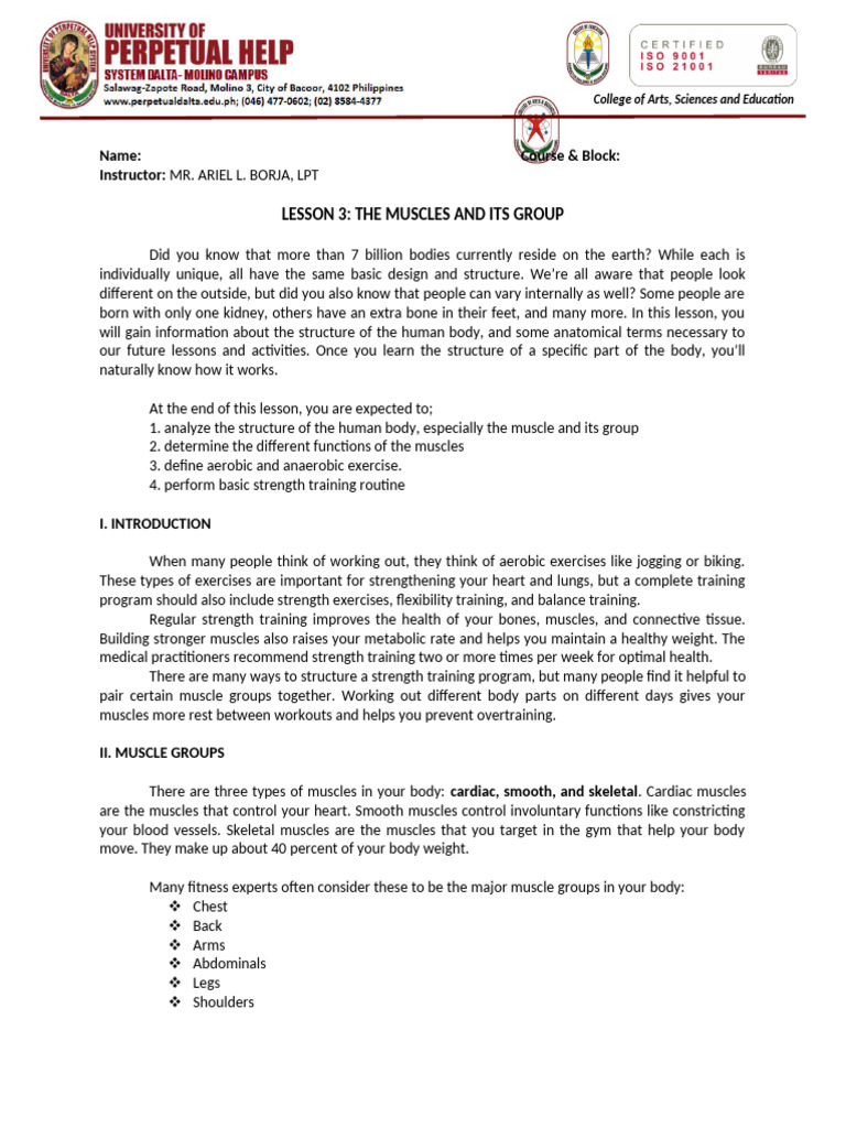 Understanding Muscle Groups and Exercises | PDF | Strength Training ...