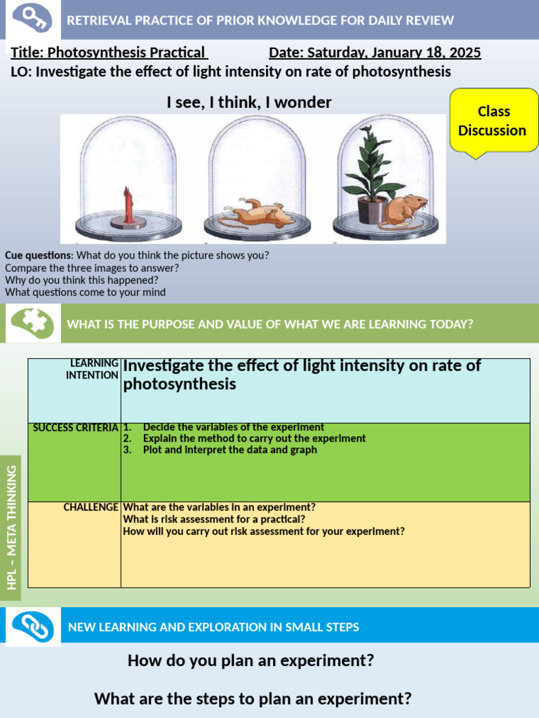 Lesson 4 Photosynthesis Practical | PDF | Leaf | Experiment