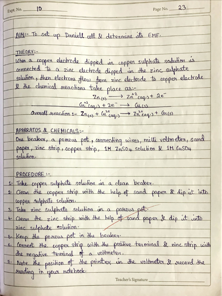 Daniel Cell Construction | PDF