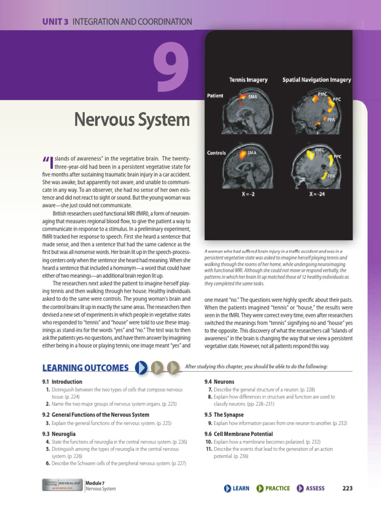 Ch09 Nervous System | PDF | Nervous System | Axon