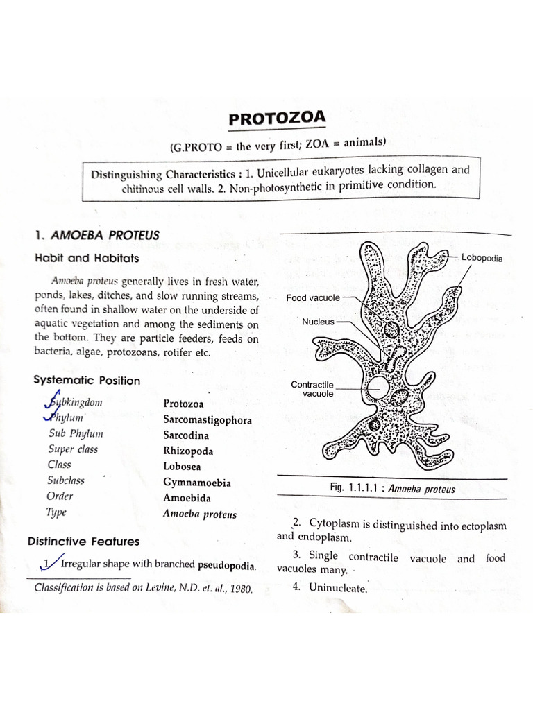 Zoology Practical 15 - 09 - 2023 | PDF