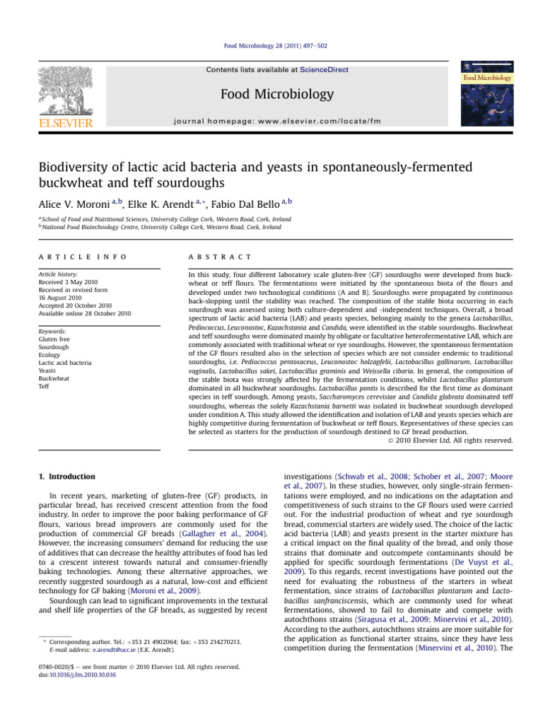 Biodiversity of Lactic Acid Bacteria and | PDF | Sourdough | Lactobacillus