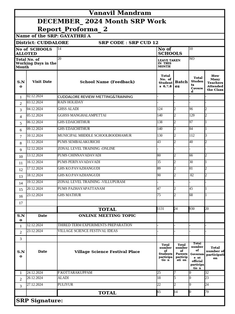 Proforma - 2 - VM SRP - RAIN - December 2024 Work Report | PDF