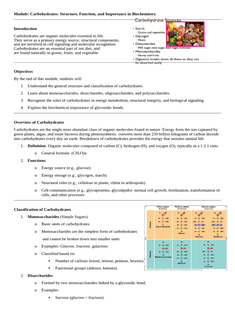 Module Carbohydrates | PDF | Carbohydrates | Glucose