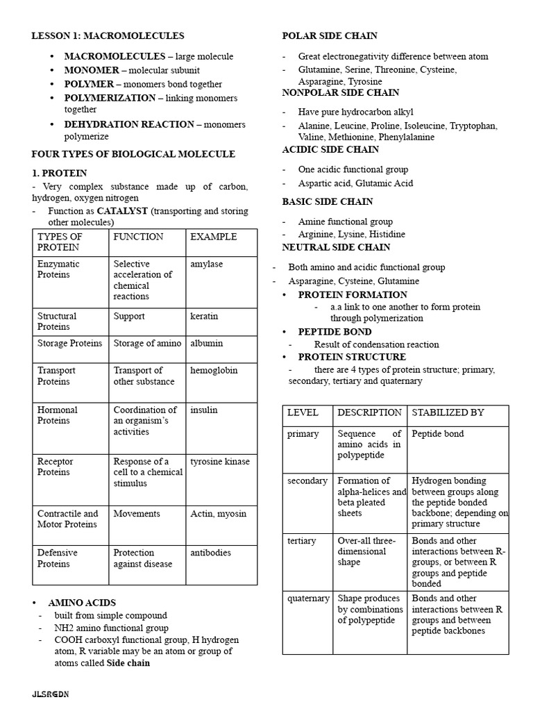 GEN BIO 1 FINALS Reviewer | PDF | Carbohydrates | Enzyme