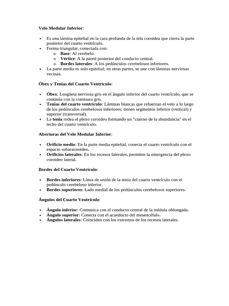 Estructura y Función del Velo Medular Inferior | PDF
