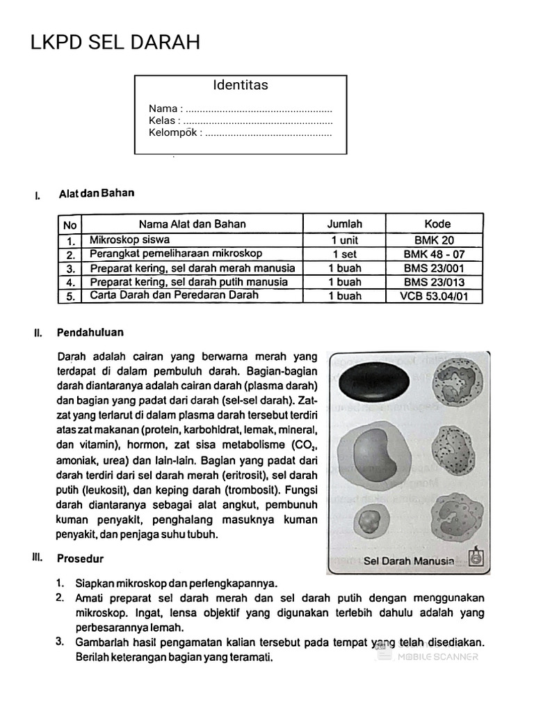 LKPD SEL DARAH | PDF