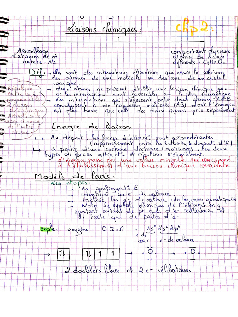 CG Resume Liaison Chimique Salma Sallaou | PDF