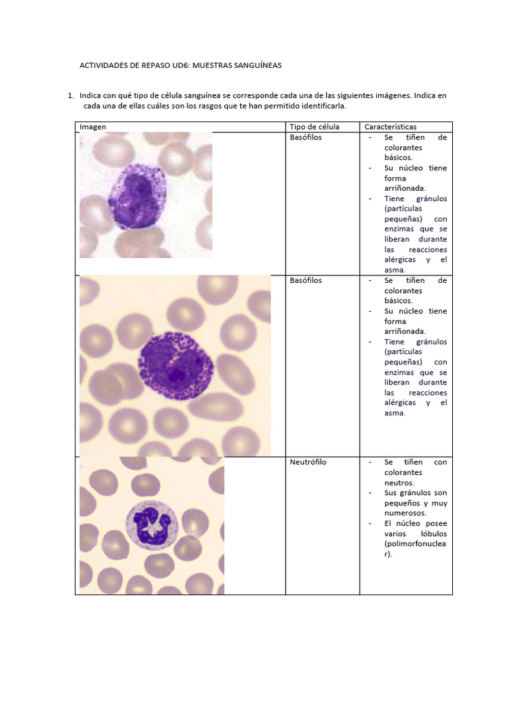 Actividades de Repaso Ud6 | PDF | Sangre | Linfocitos
