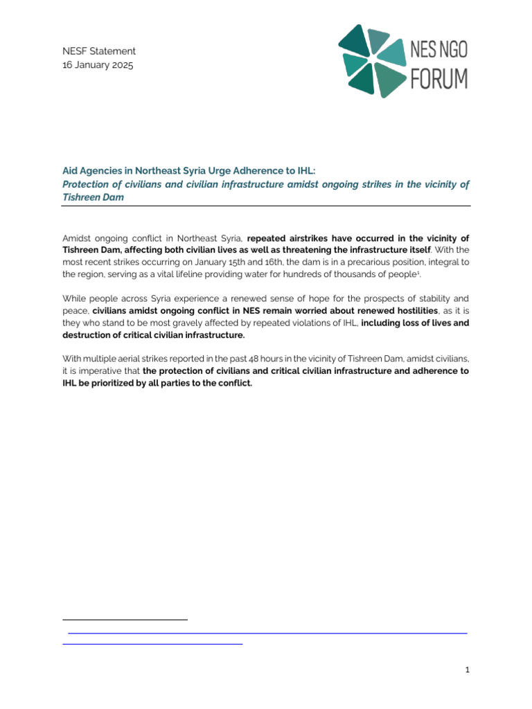 IHL Violations in Northeast Syria Strikes | PDF