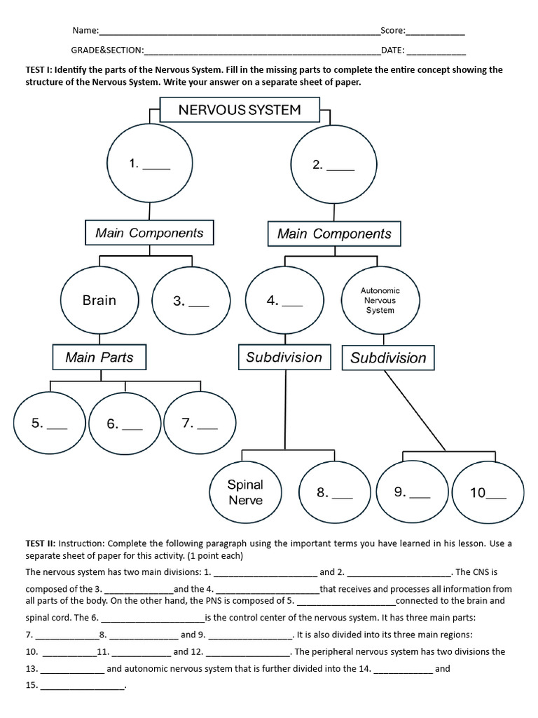 Kabanata Ang Noche Buena ng Isang kutsero | PDF | Nervous System ...