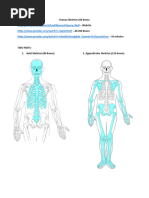 Human Skeleton All Bones Chart | PDF | Musculoskeletal System ...