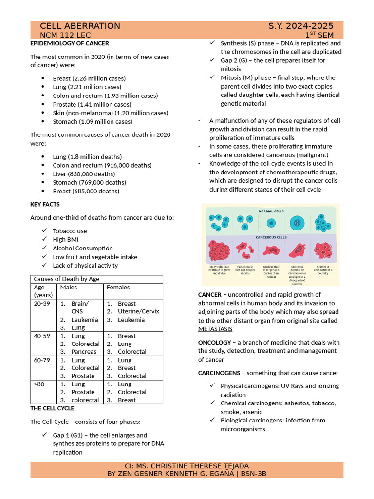 Cell Ab-1 | PDF | Cancer | Medical Ultrasound