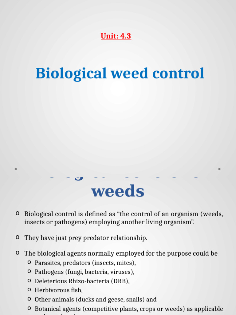 4.3 Biological Weed Control | PDF | Biological Pest Control | Weed