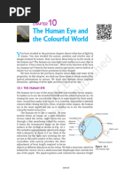 Grade 12 Life Science The Eye | PDF | Eye | Myopia