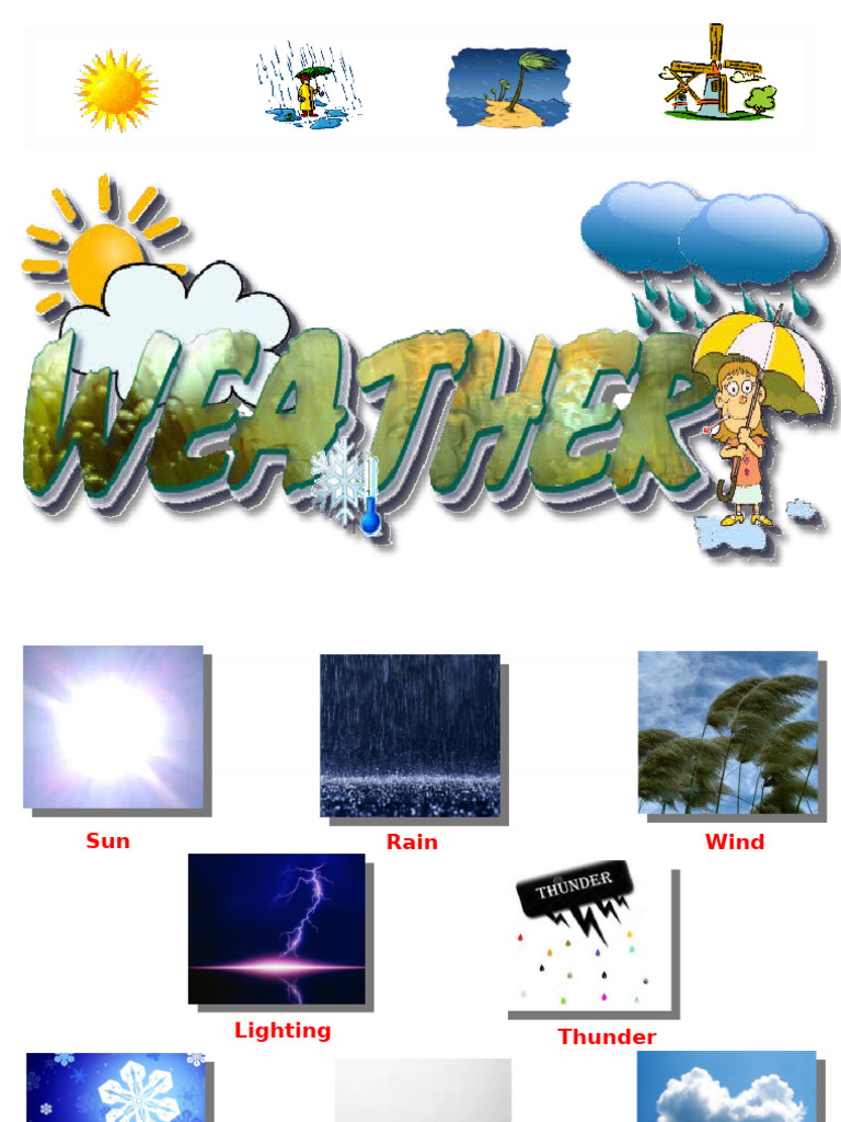 Weather Fun Activities | PDF