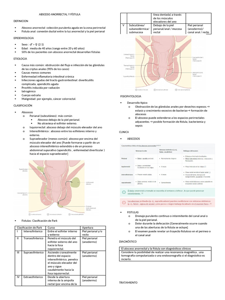 Absceso Anorrectal y Fístula | PDF | Medicina CLINICA | Especialidades Medicas