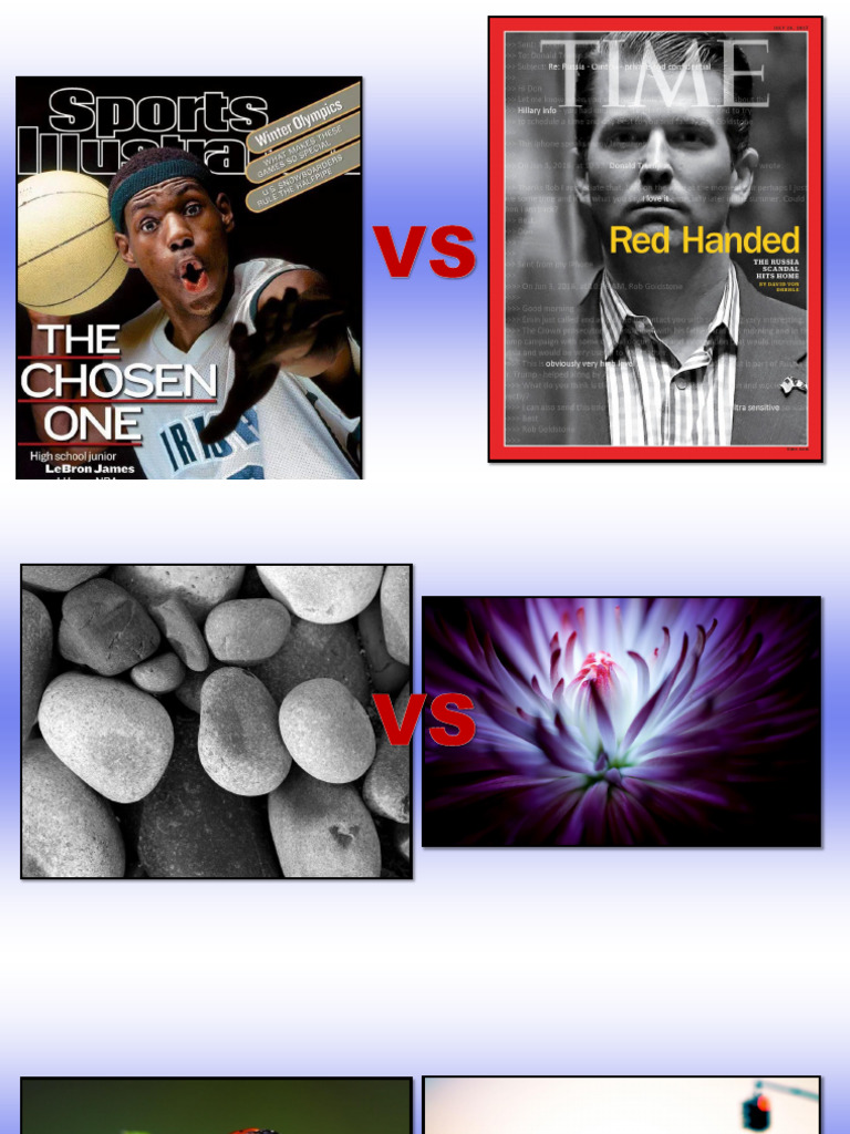 10 Basic Principles in Graphics and Layout | PDF | Page Layout | Graphics