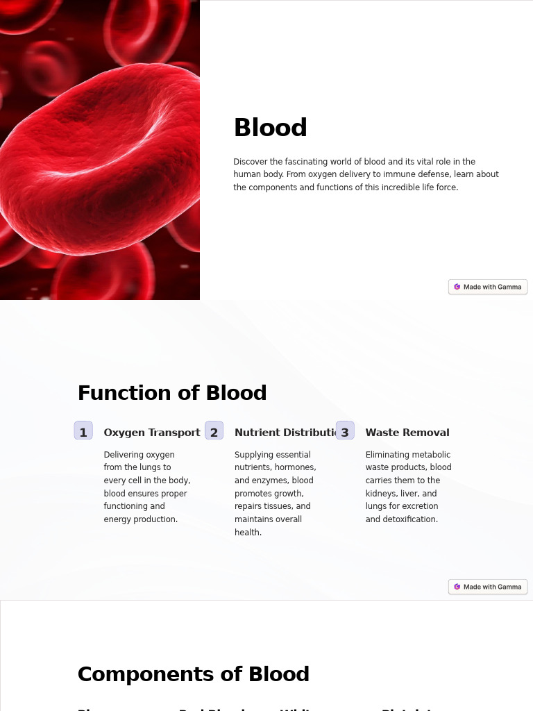 Blood | PDF | Blood | White Blood Cell