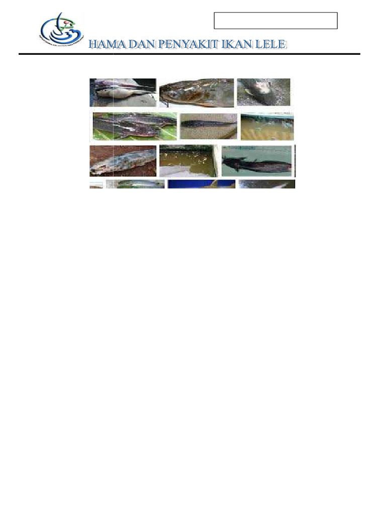 14. HAMA DAN PENYAKIT IKAN LELE | PDF