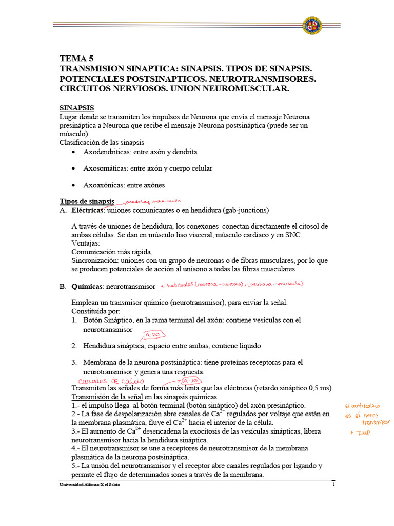 TEMA 5-SINAPSIS - pdf1 | PDF | Sinapsis | Neurotransmisor