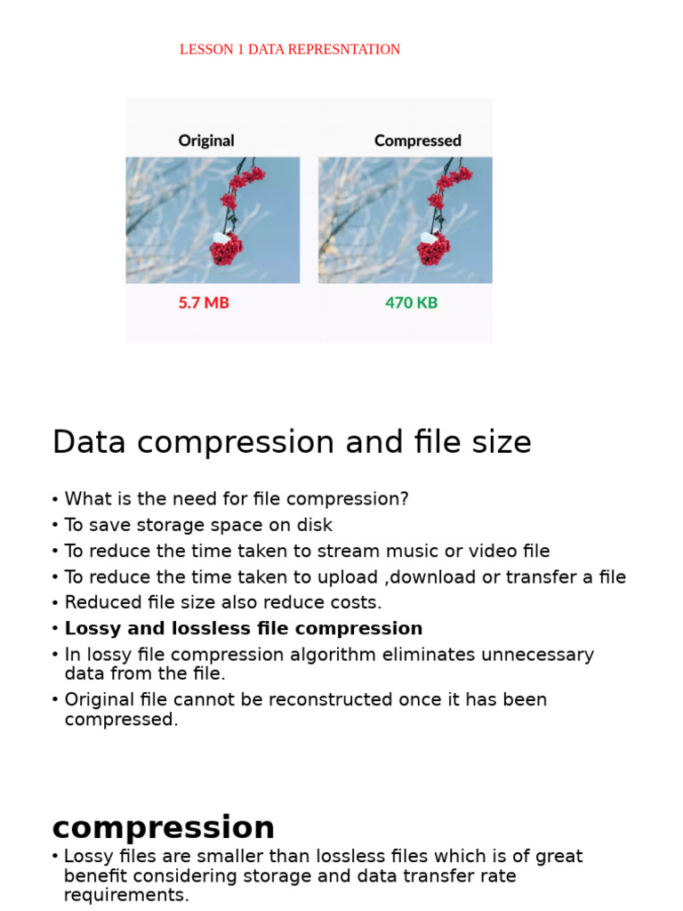 1.3 Data Storage and File Compression | PDF