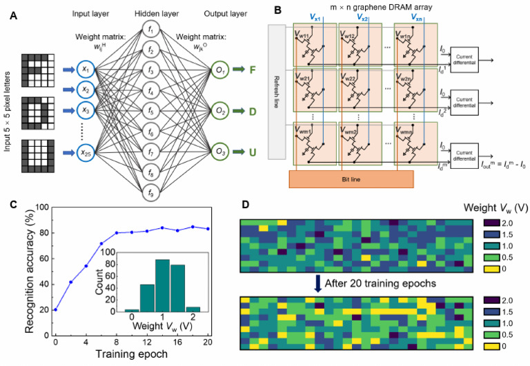 NSO20220088-fig5 | PDF