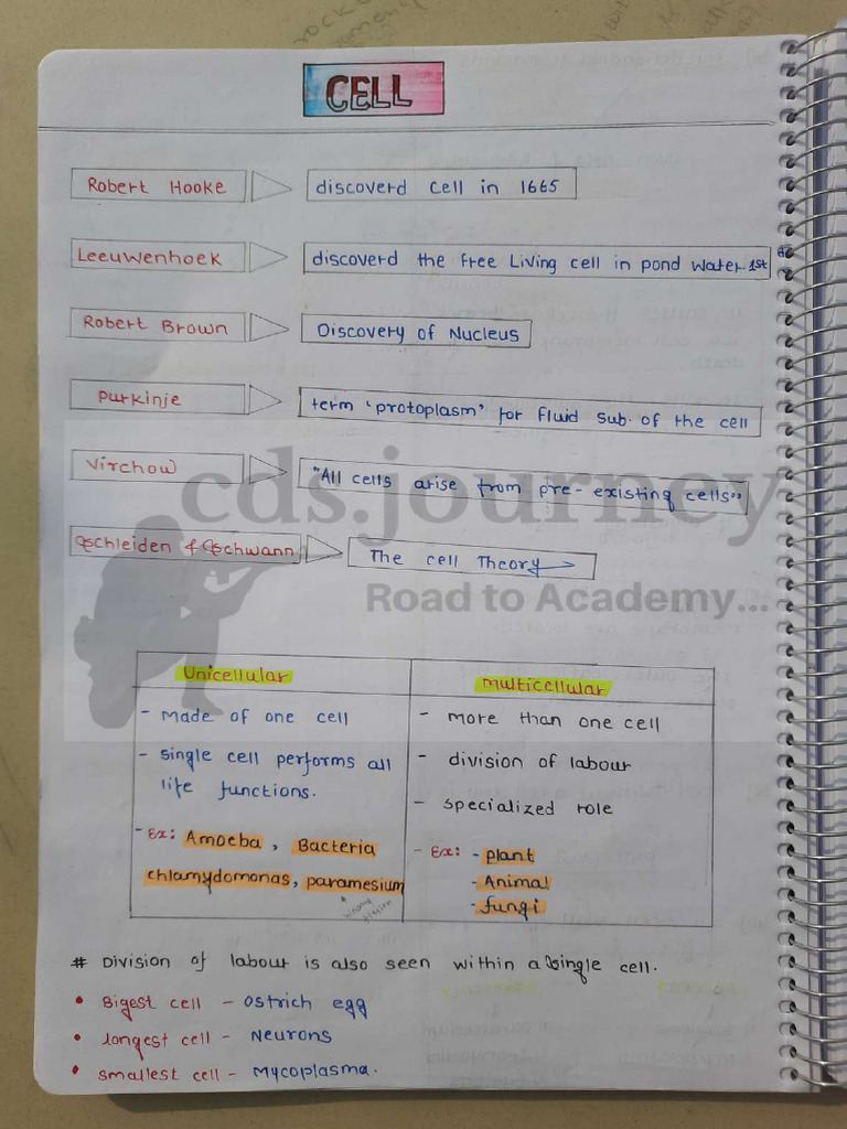 Biology Class Notes - Compressed | PDF
